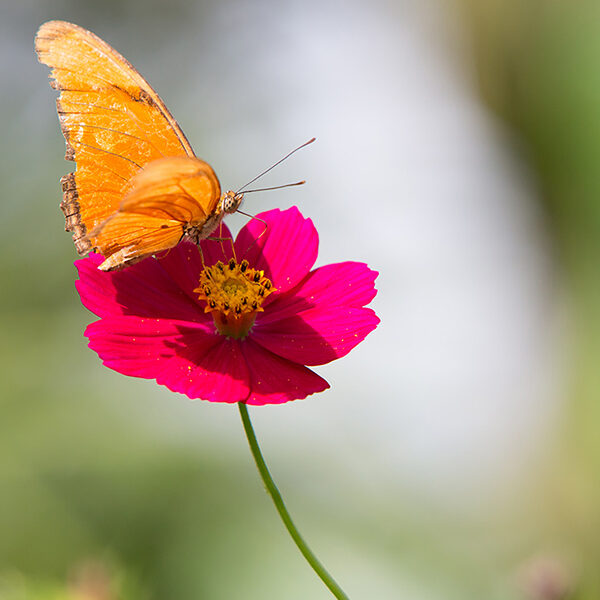 Home - Chris Keeney Photography
