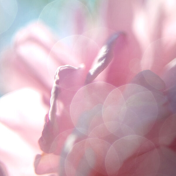 Home - Chris Keeney Photography